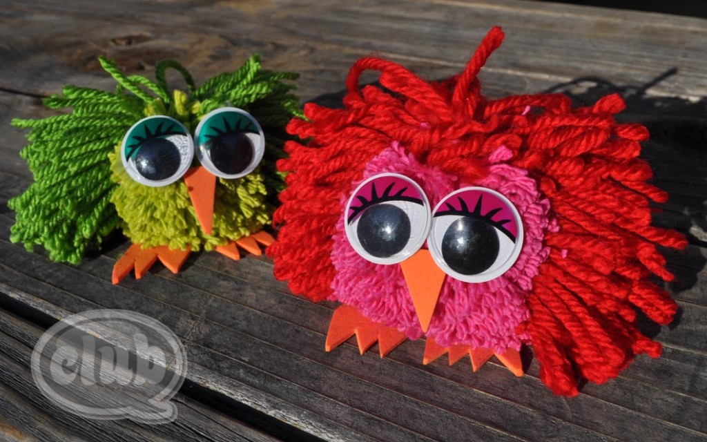Owl Pom Poms DIY | Club Chica Circle - where crafty is contagious